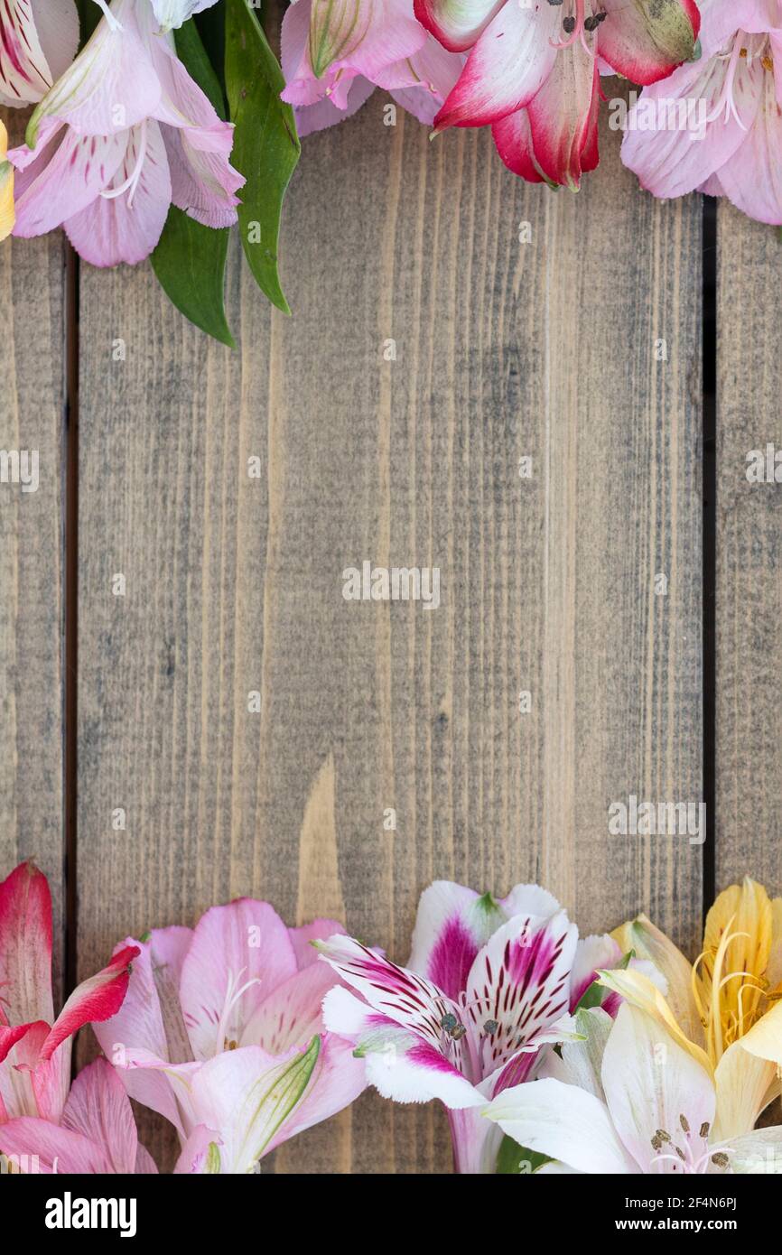 Multi colored flower border hi-res stock photography and images - Alamy