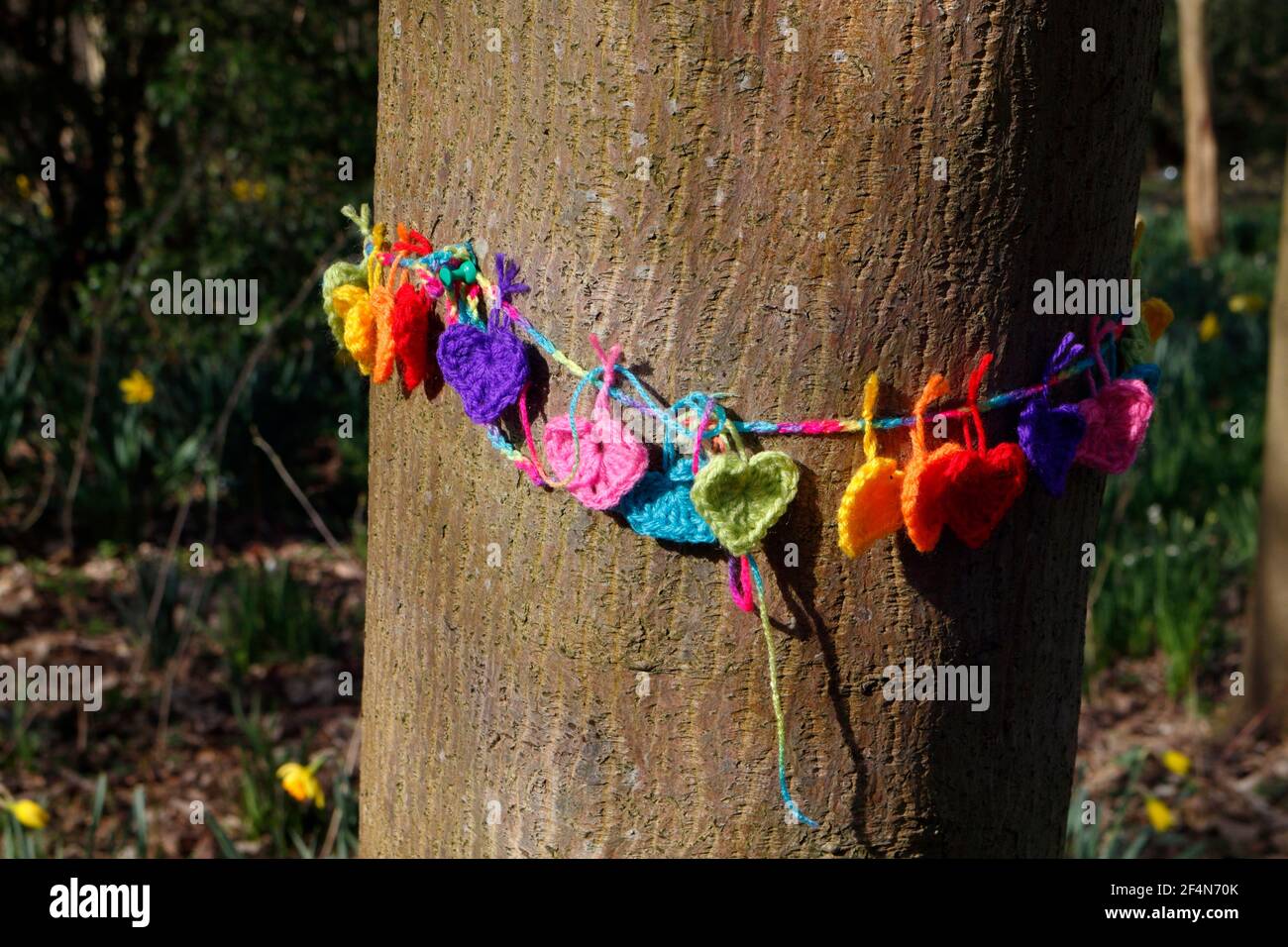 Tree trunk shapes hi-res stock photography and images - Alamy