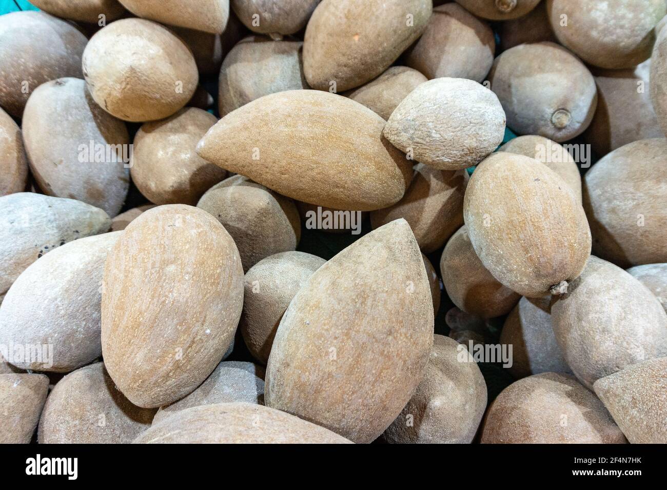 Mamey hi-res stock photography and images - Alamy