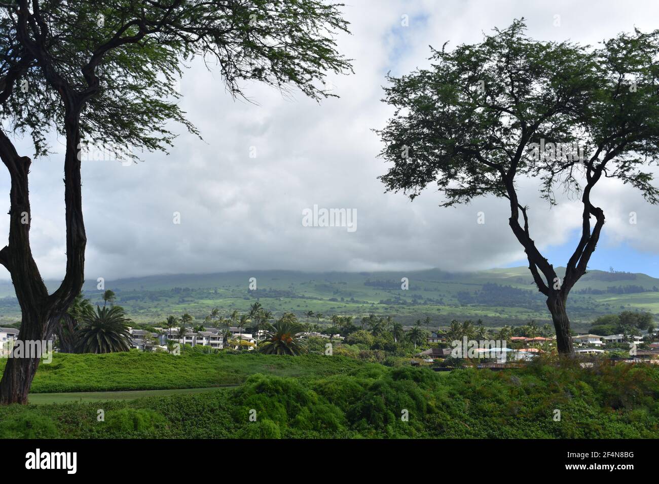 Stunning view of the lush green countryside with buildings on the ...
