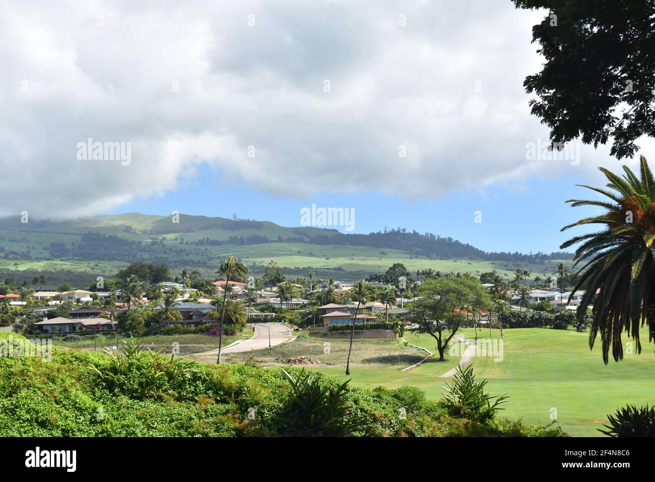 Stunning view of the lush green countryside with buildings on the ...