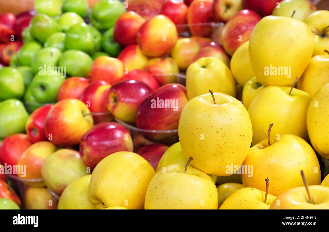 Yellow Apple Varieties