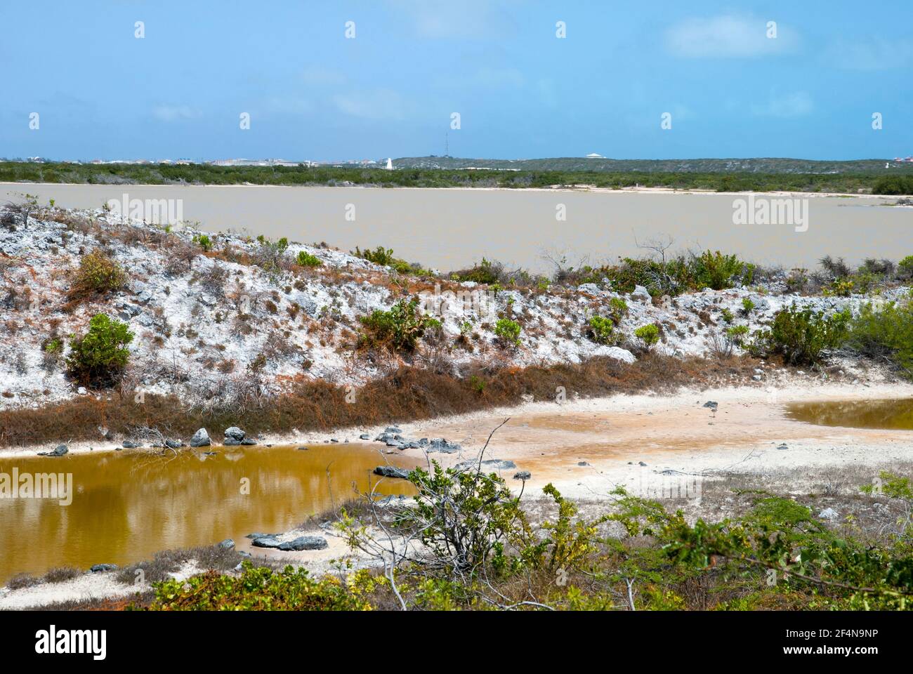 The view of colorful Grand Turk island landscape with a brown color ...