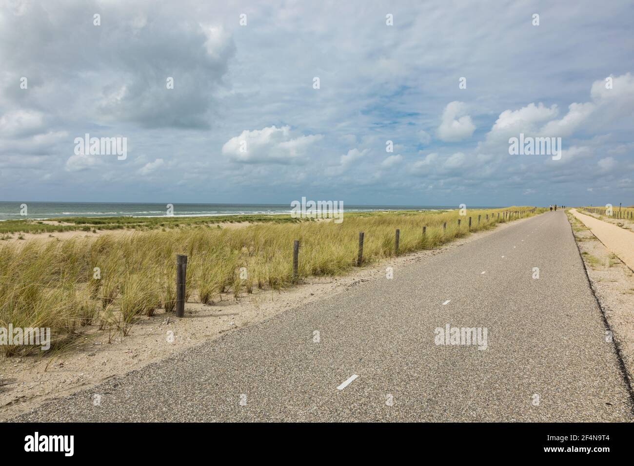 Bicycle trail immersed in the nature of the Netherlands Stock Photo - Alamy