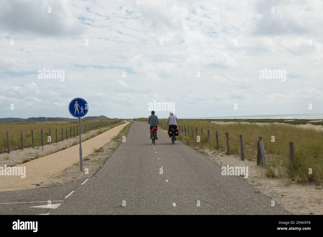 Bicycle trail immersed in the nature of the Netherlands Stock Photo - Alamy