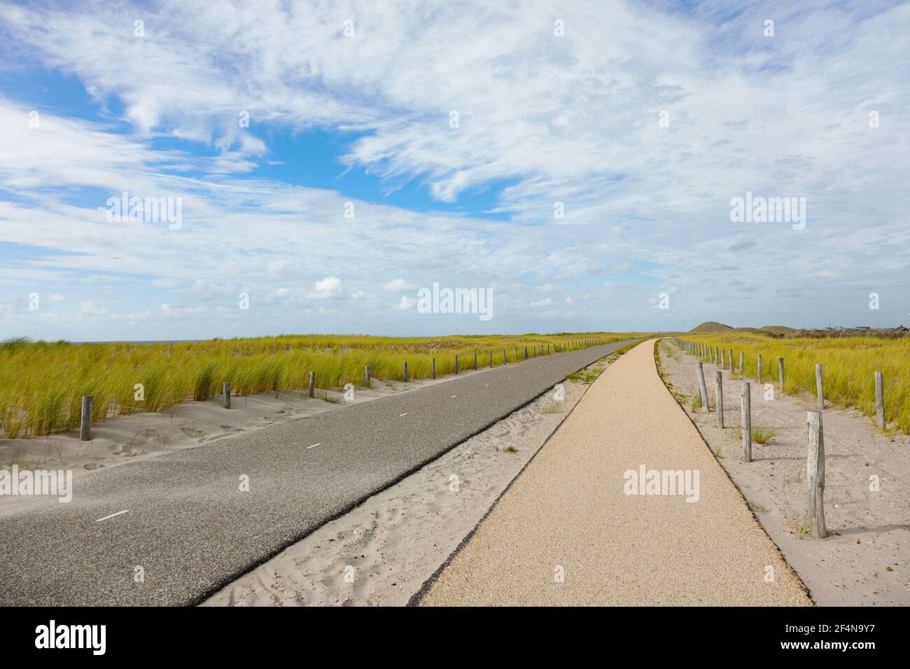 Bicycle trail immersed in the nature of the Netherlands Stock Photo - Alamy