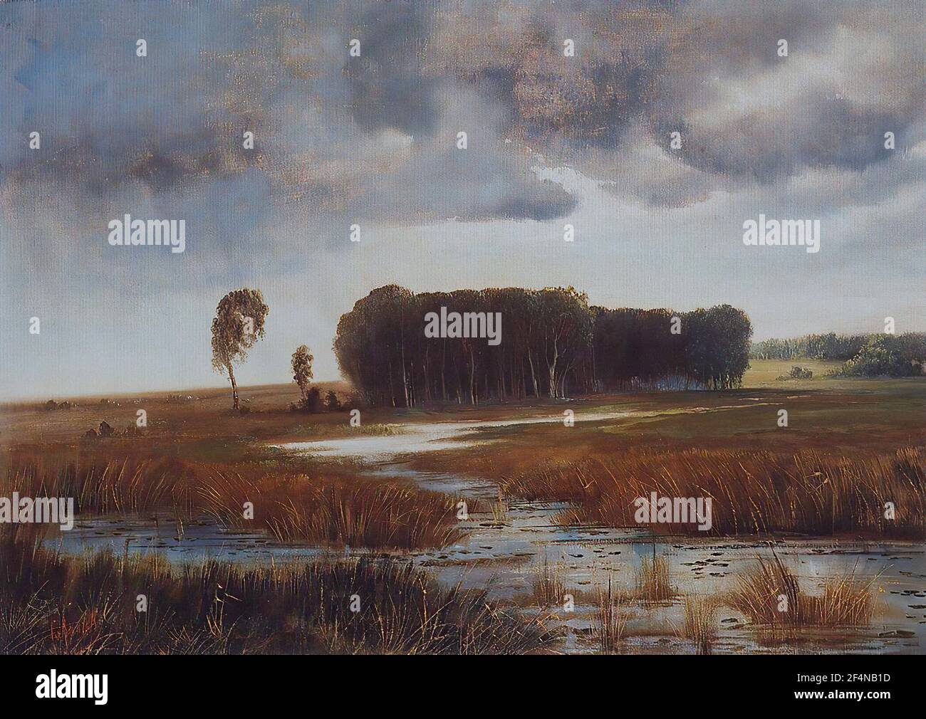 Marsh and wooded islands hi-res stock photography and images - Alamy