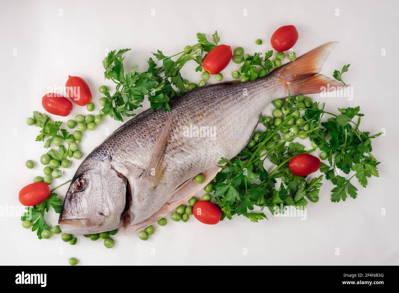 Dentex fish hi-res stock photography and images - Alamy