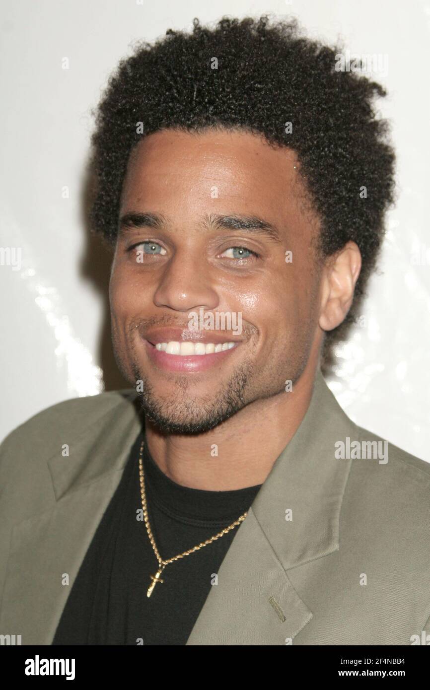 Jan 18, 2006 - Los Angeles, California, USA - Actor MICHAEL EALY at the ...