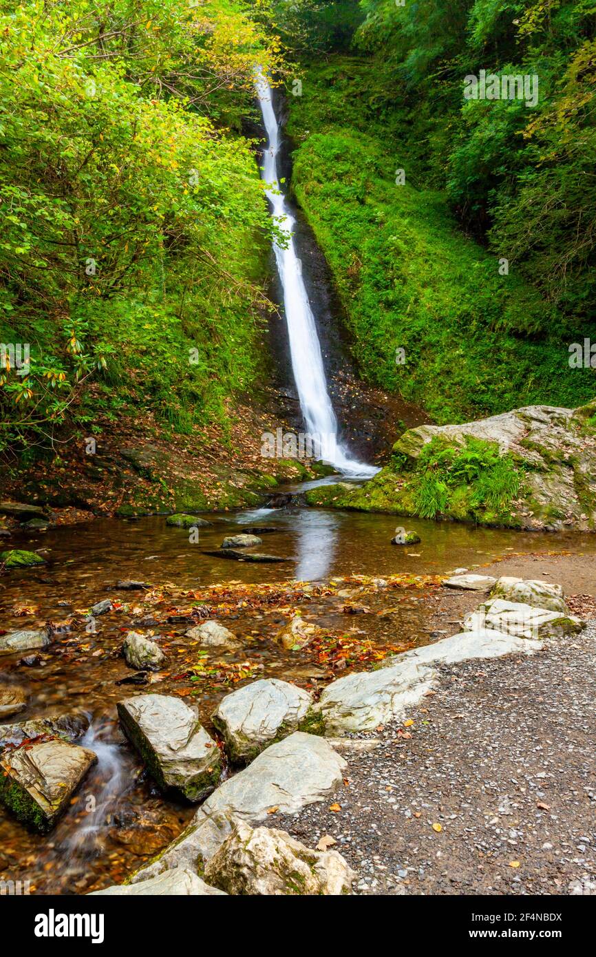 Whitelady hi-res stock photography and images - Alamy