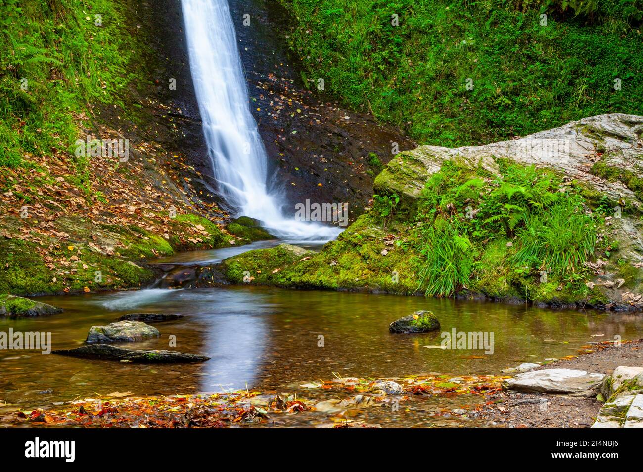Devon waterfall hi-res stock photography and images - Alamy