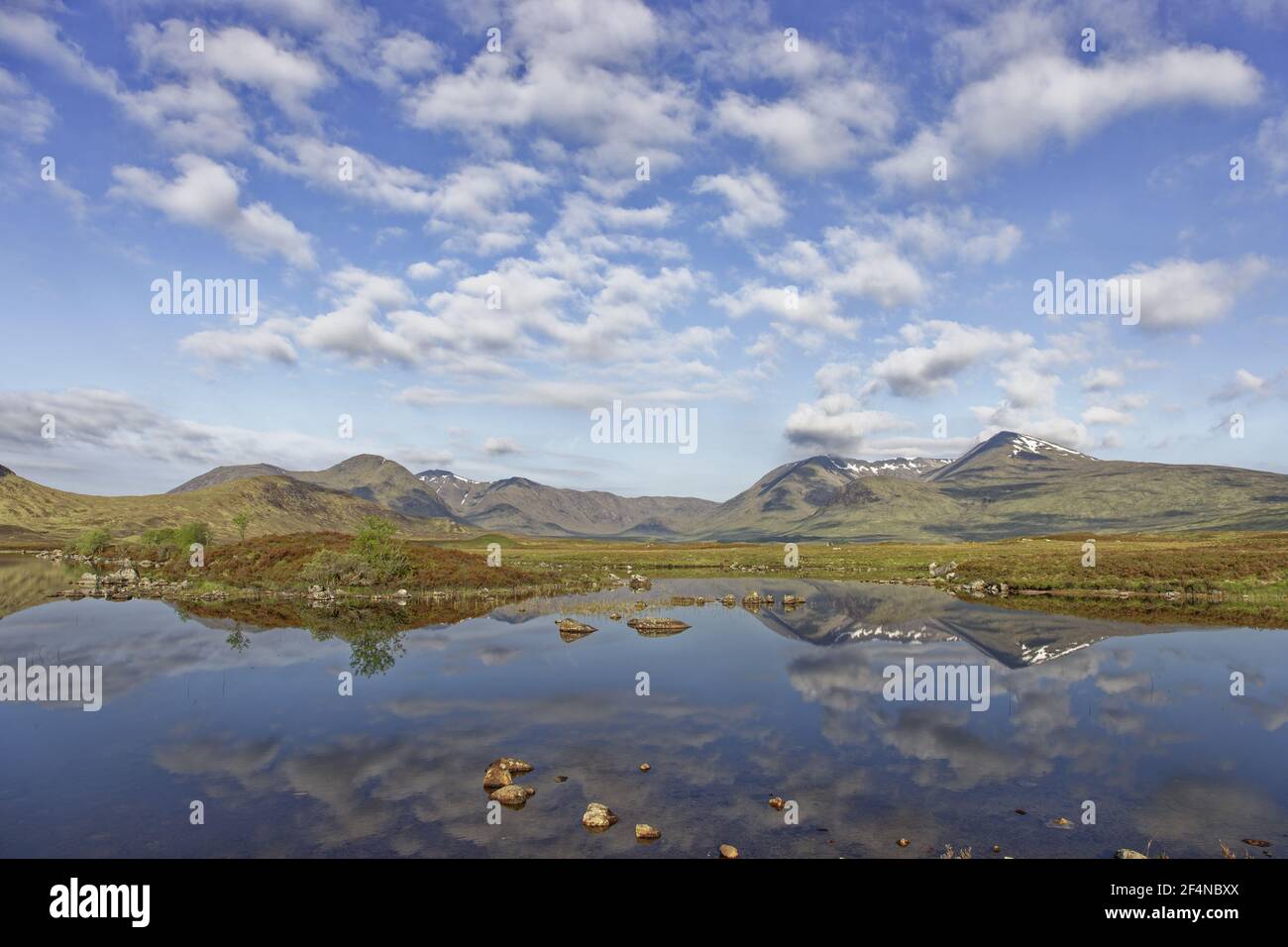 Scottish spring landscapes hi-res stock photography and images - Alamy