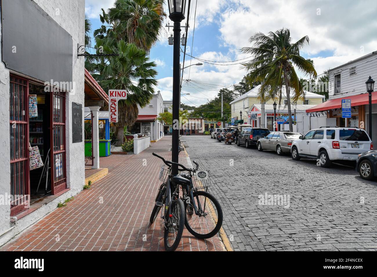 Conch reef florida hi-res stock photography and images - Alamy