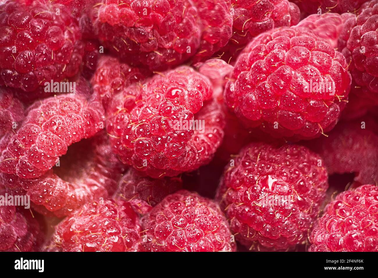 Macro photo of ripe many raspberries top view. Raspberry background ...