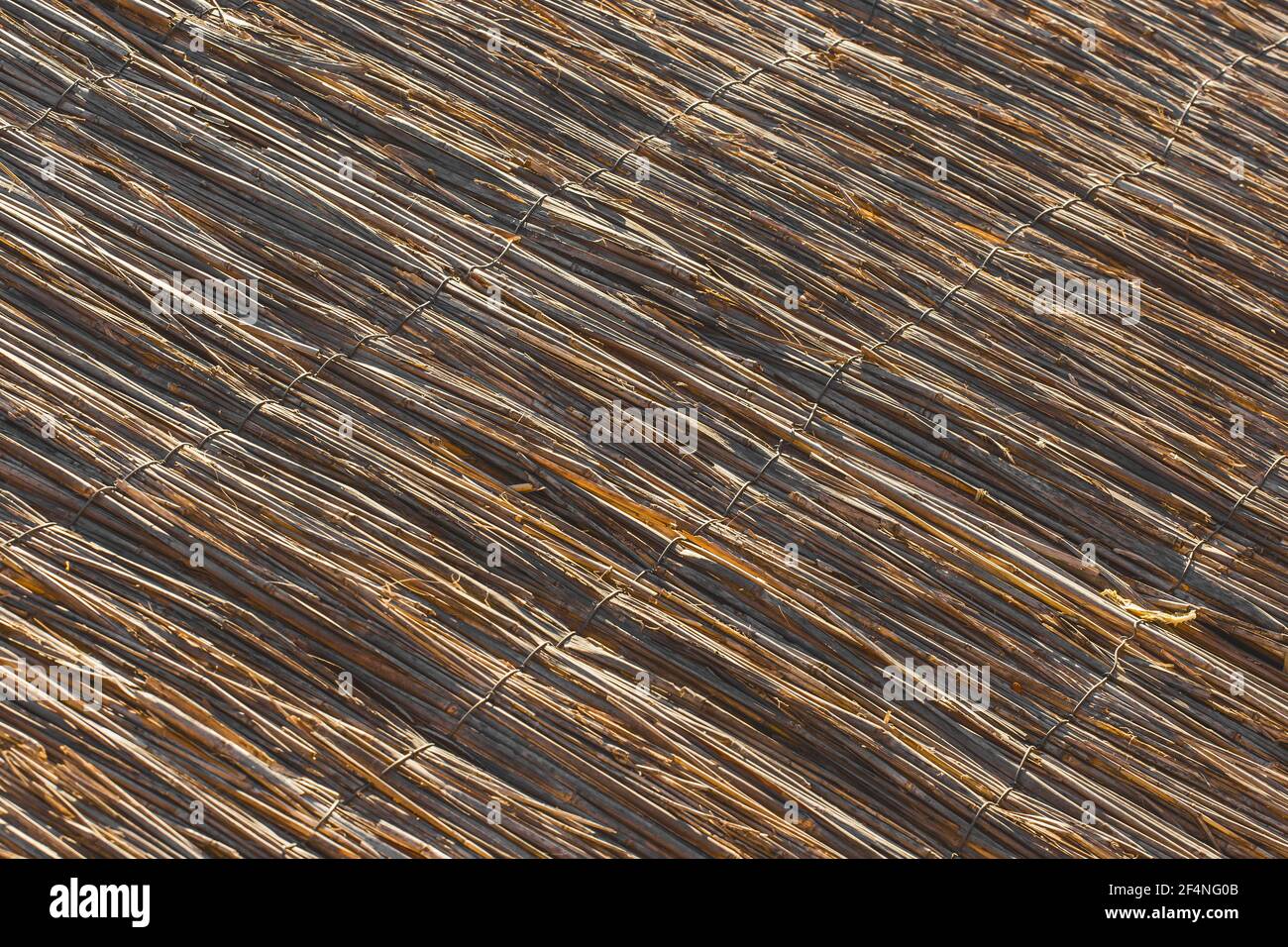 Reed surface hi-res stock photography and images - Alamy