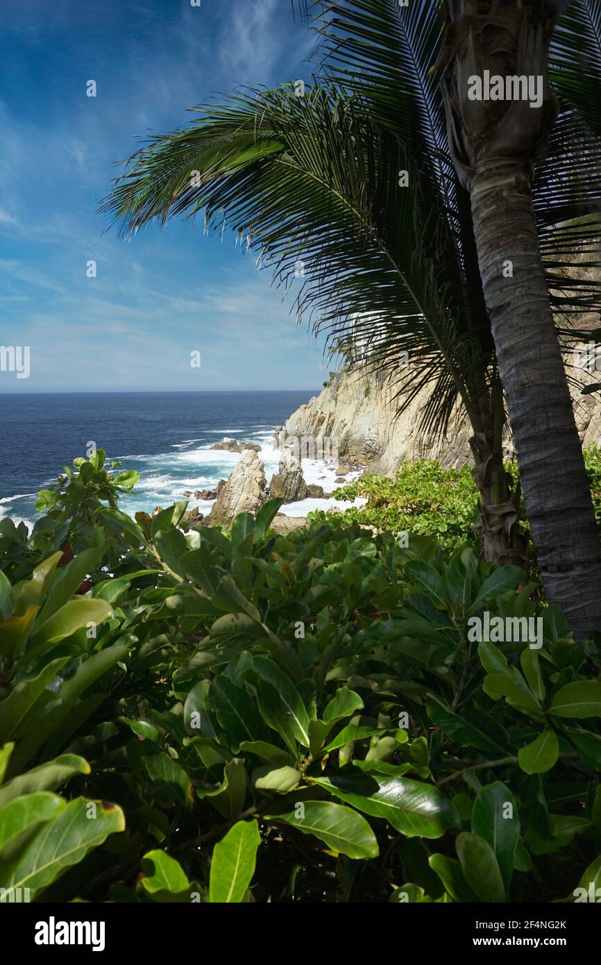 Female hispanic street vendor making sopes in Acapulco, Mexico Stock ...