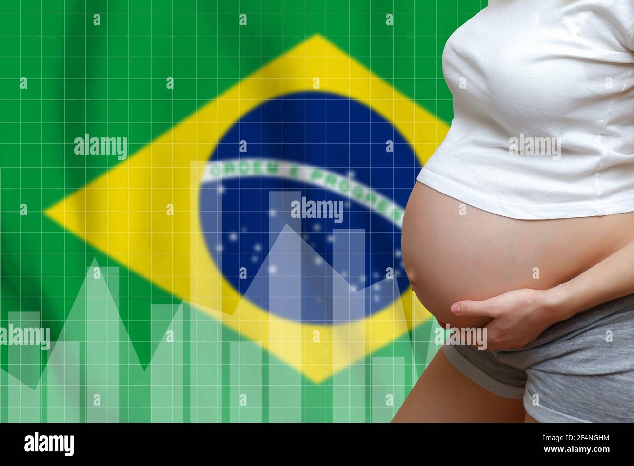 Fertility concept in the Federative Republic of Brazil. Pregnant woman ...