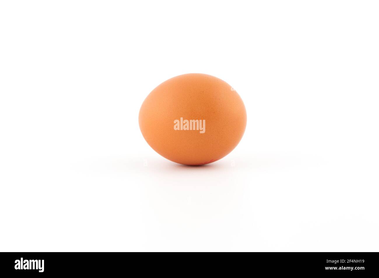 One chicken egg hi-res stock photography and images - Alamy