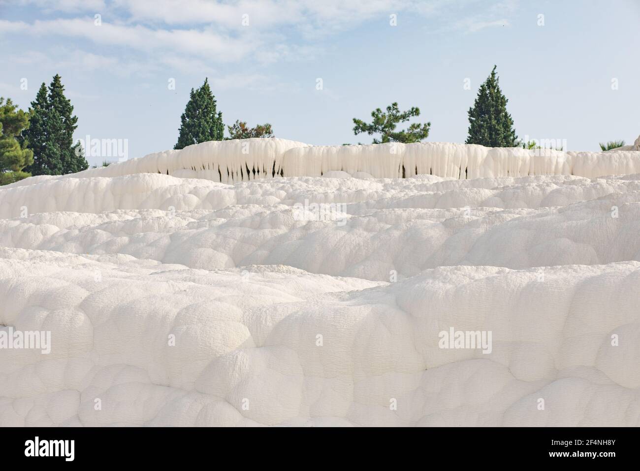 White calcium hi-res stock photography and images - Alamy