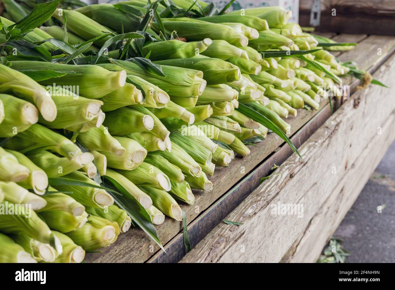 Corn farmers and farming hi-res stock photography and images - Alamy