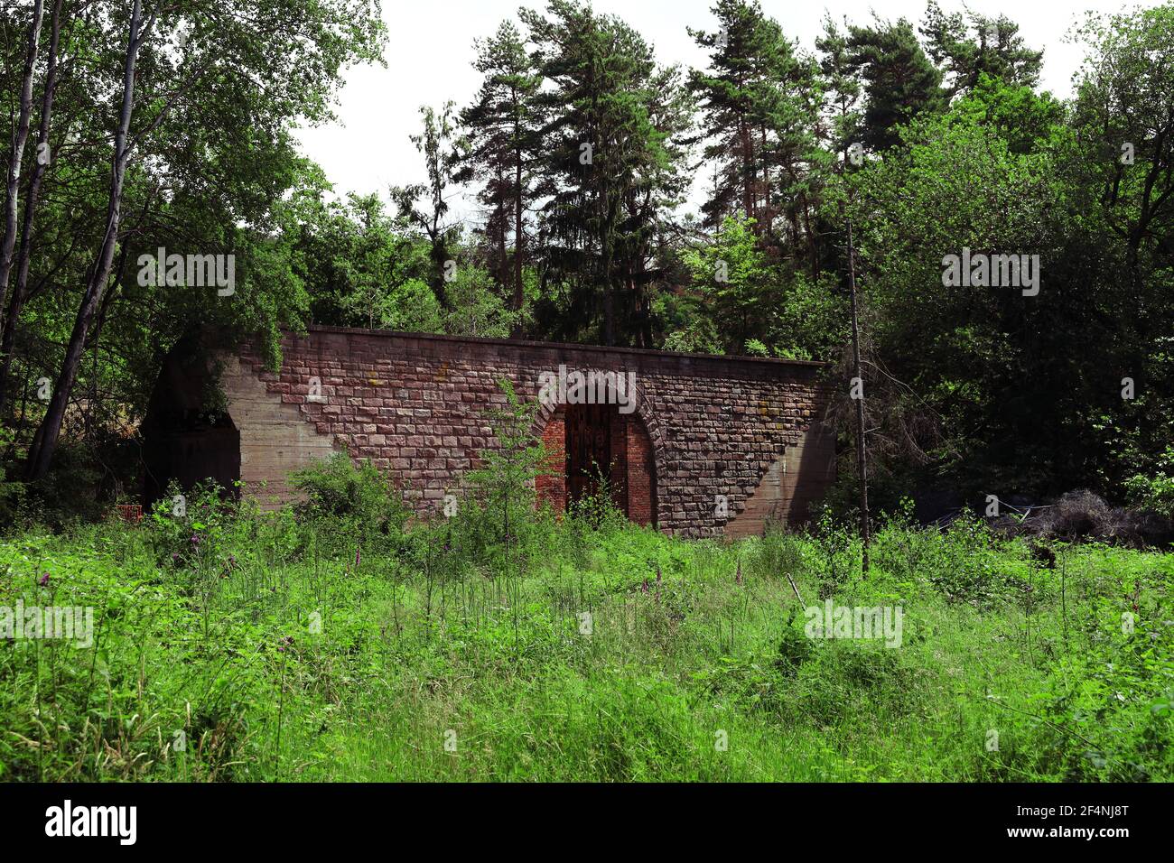 Ruin forest hi-res stock photography and images - Alamy