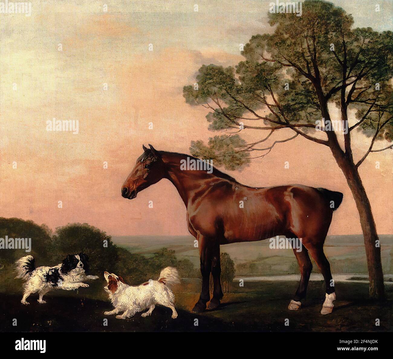 George stubbs bay hi-res stock photography and images - Alamy