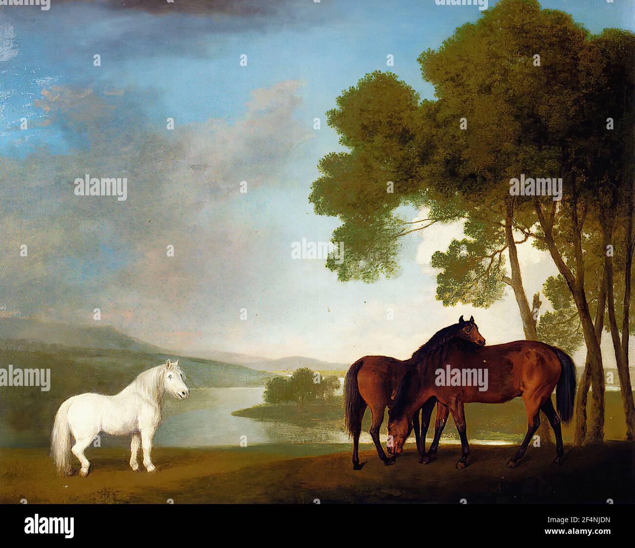 George stubbs bay hi-res stock photography and images - Alamy