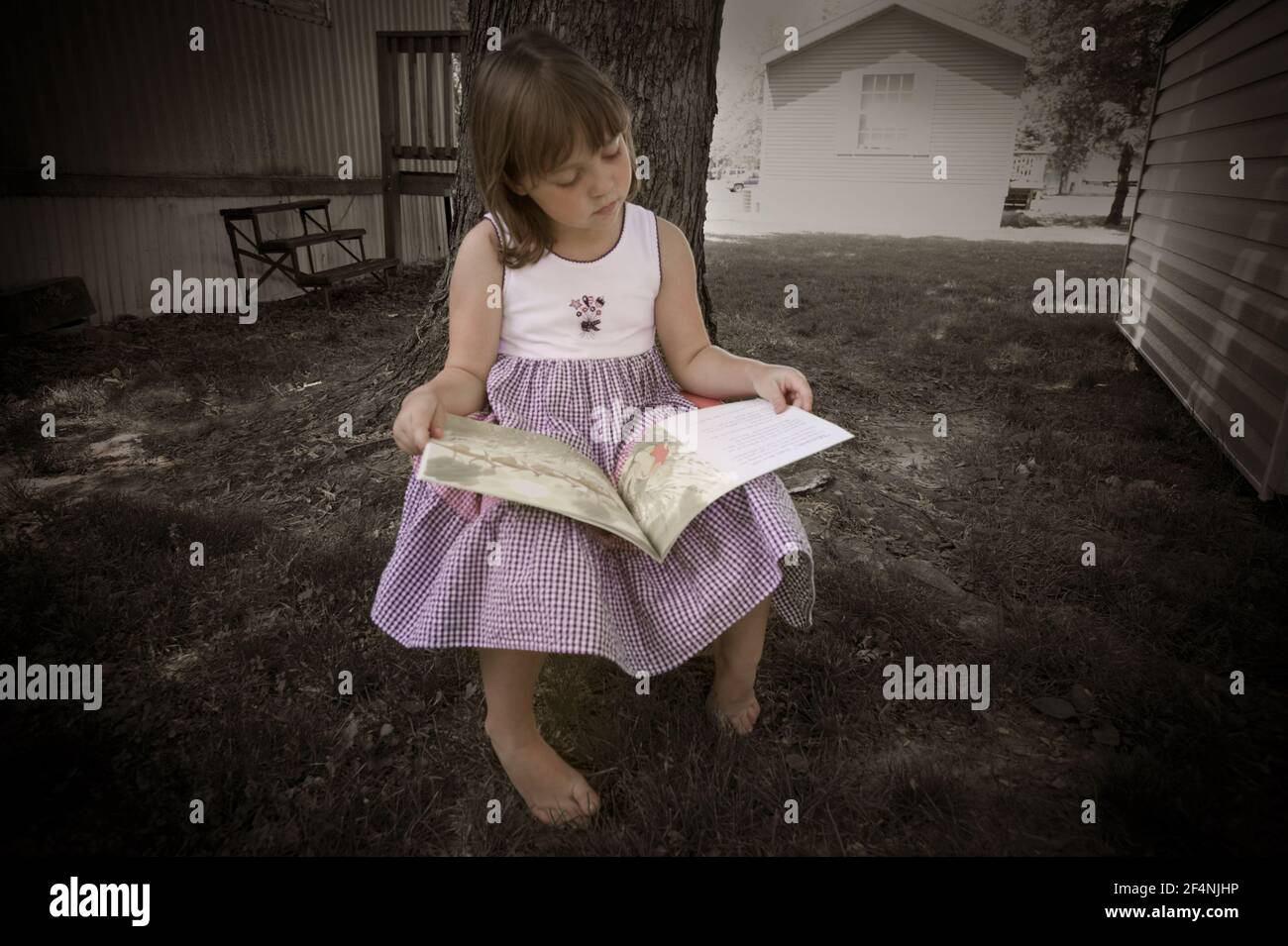 Child reading under a tree Stock Photo - Alamy