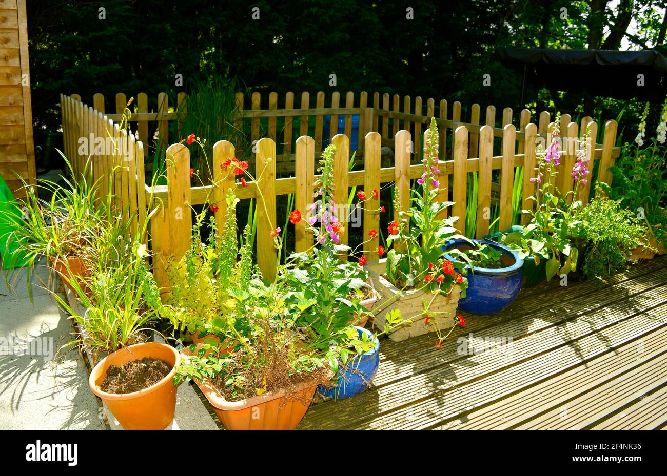 Fish pond surrounded with a wooden fence with plant pots around the ...