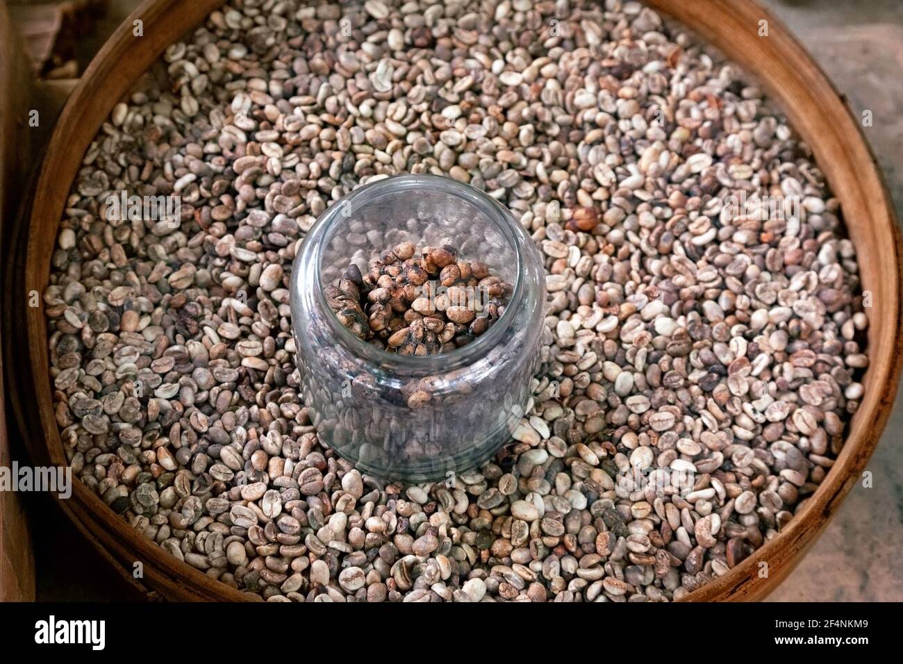 Washed and unwashed coffee beans at coffee Luwak farm, Bali, Indonesia ...
