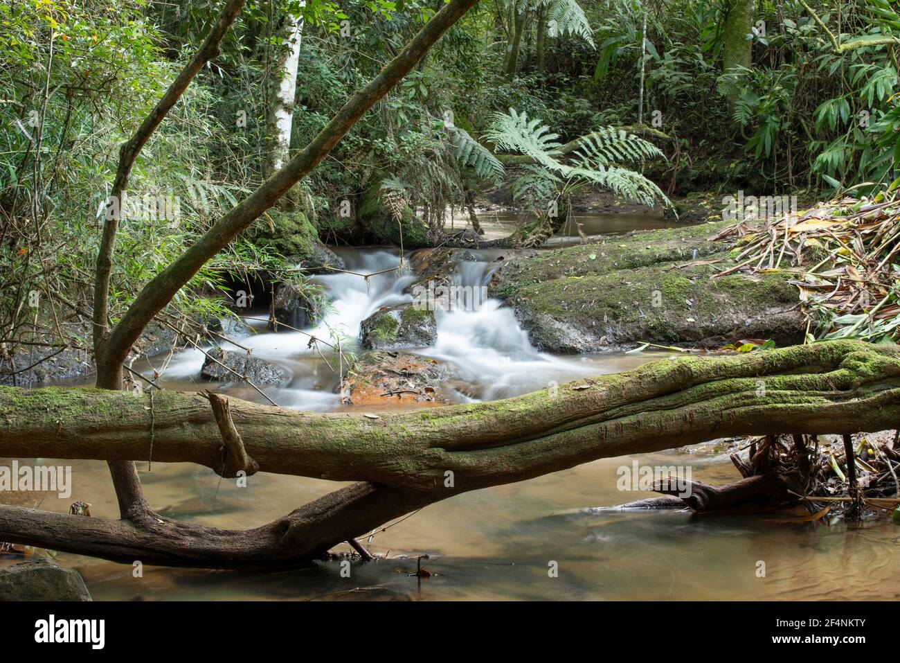 Waterfall and river flowing through a rainforest in Brazil Stock Photo ...