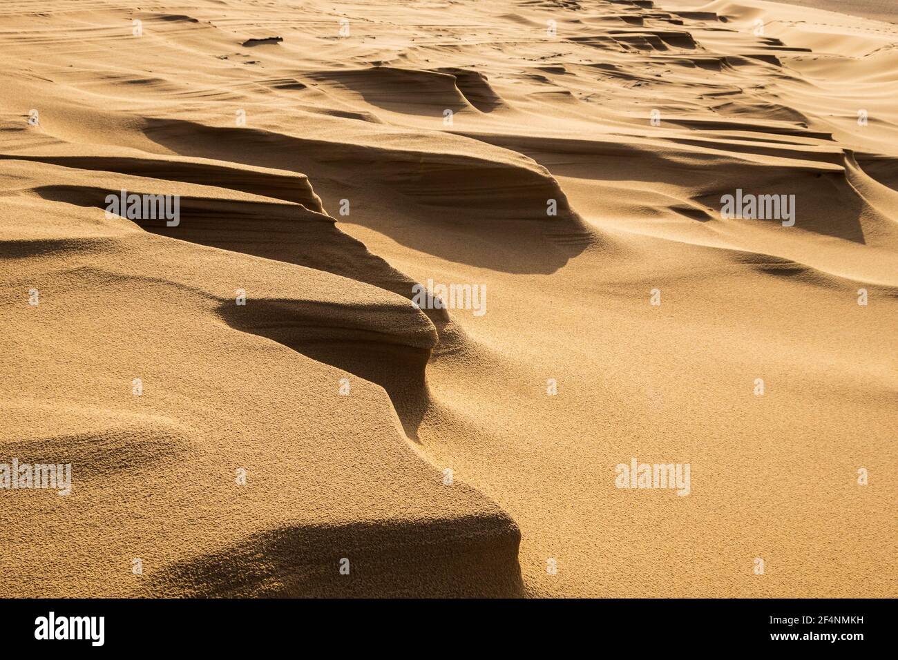 Dune structures hi-res stock photography and images - Alamy