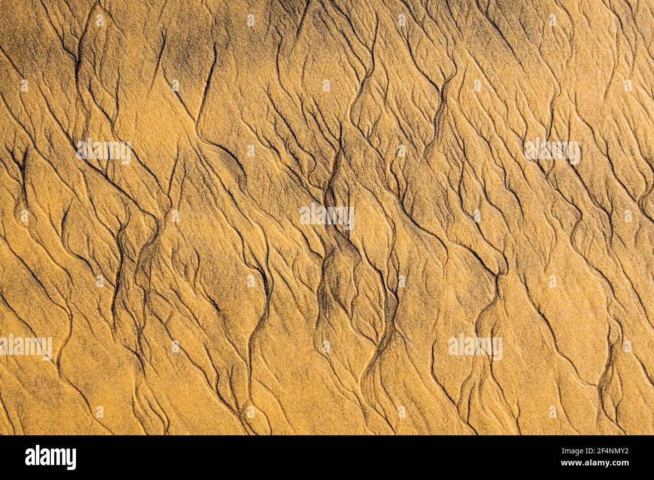 Structures in the sand from tiny trickling rivulets beach receding ...