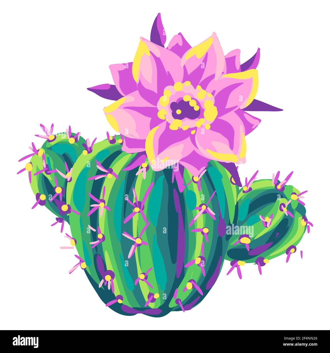 Illustration of cactus. Decorative spiky mexican cacti Stock Vector ...