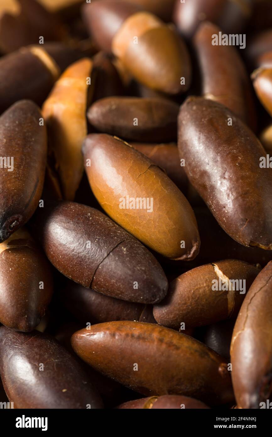 Baruzeiro hi-res stock photography and images - Alamy