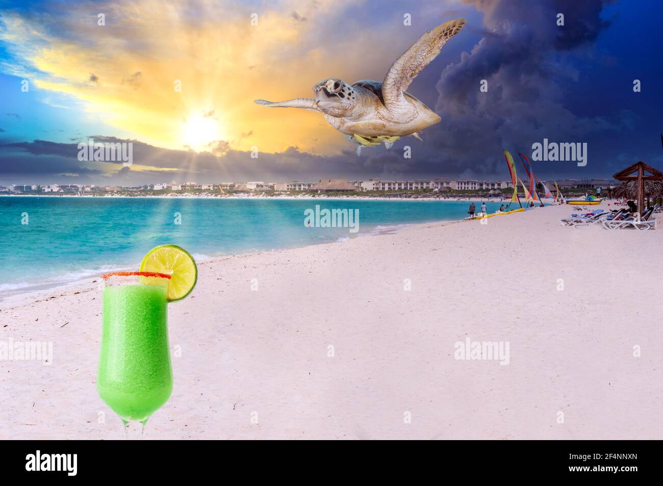 Surreal tropical beach Stock Photo - Alamy