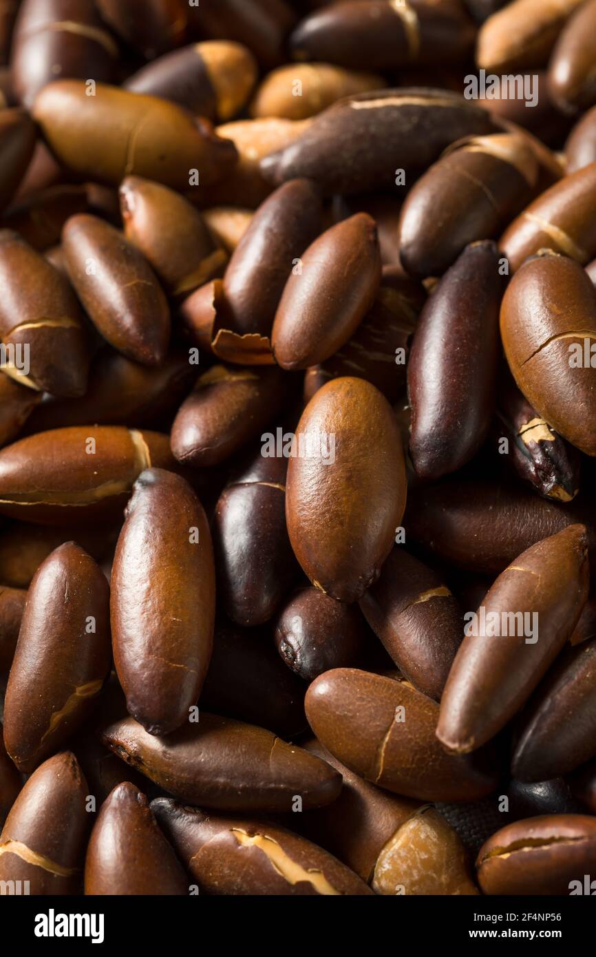 Baru almond hi-res stock photography and images - Alamy