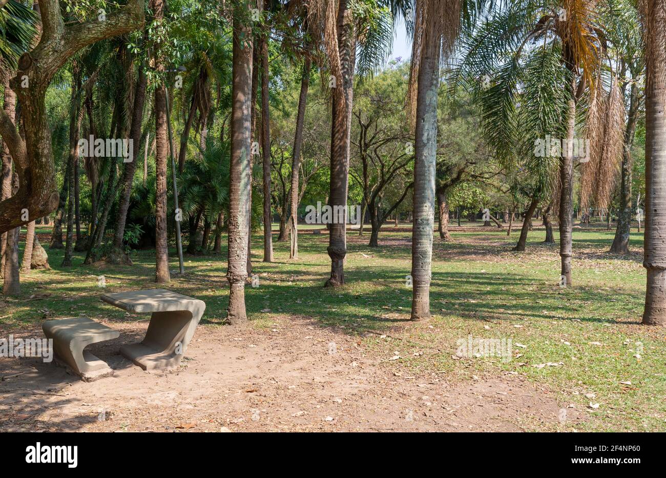 Cement in tree trunk hi-res stock photography and images - Alamy