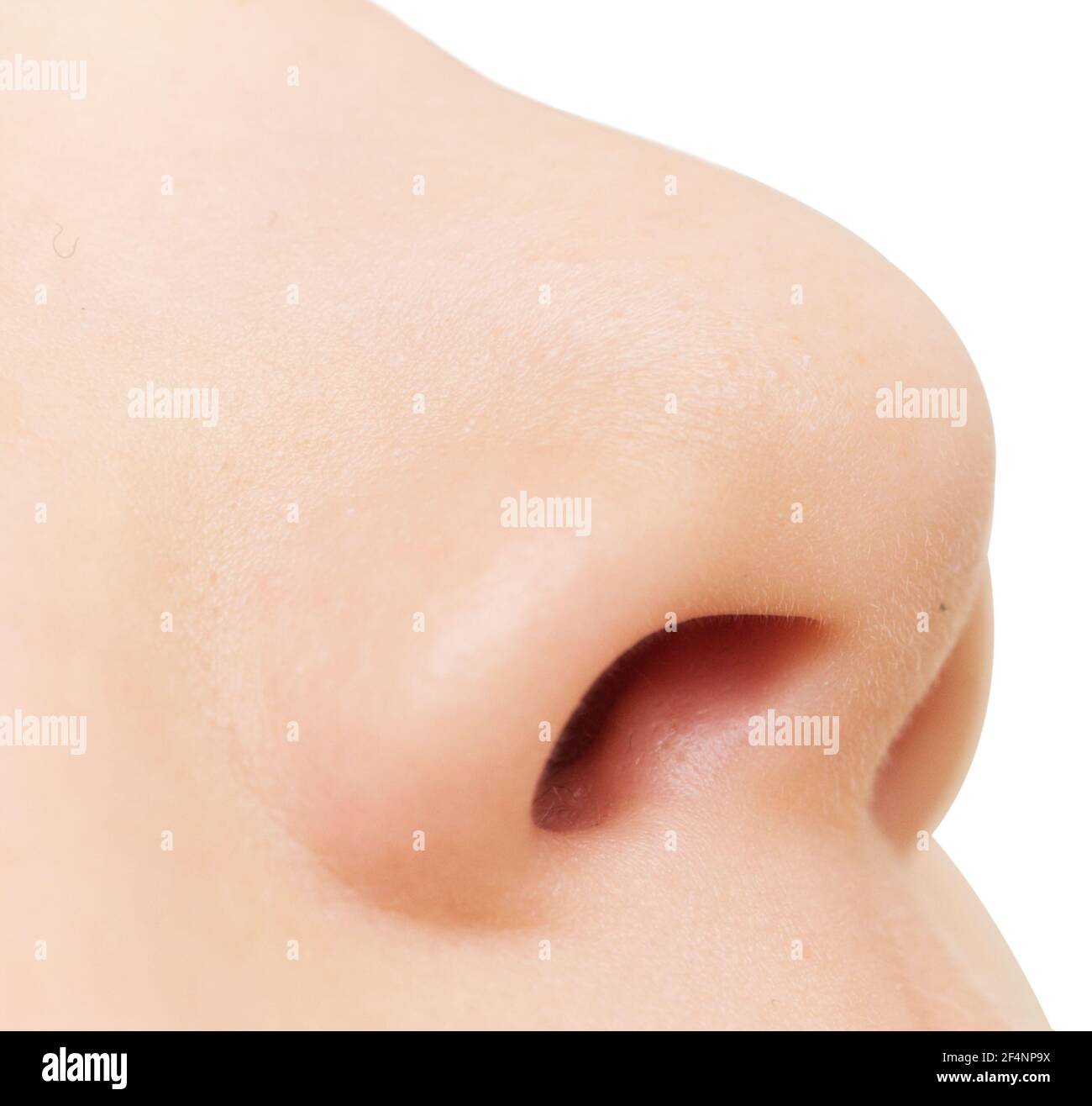 Baby nose isolated on white Stock Photo - Alamy