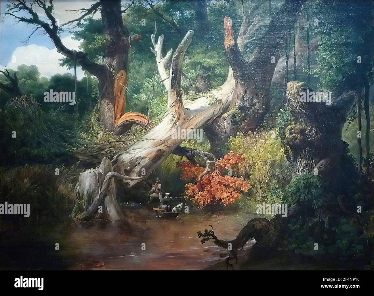 The pontine marshes hi-res stock photography and images - Alamy