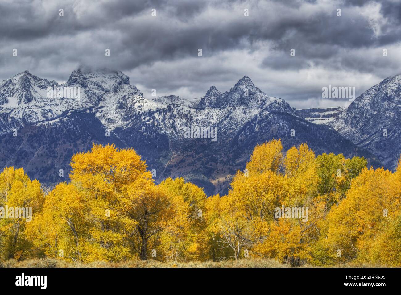 Grand Teton Mountains with Autumn (Fall) colourGrand Tetons National ...