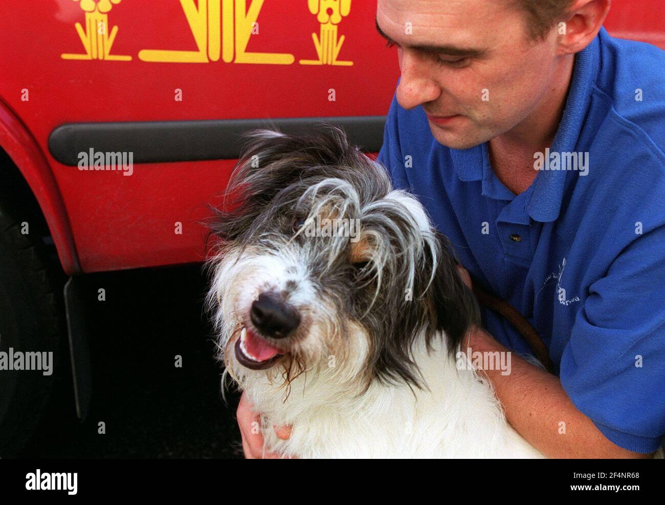 Battersea dog home hi-res stock photography and images - Alamy
