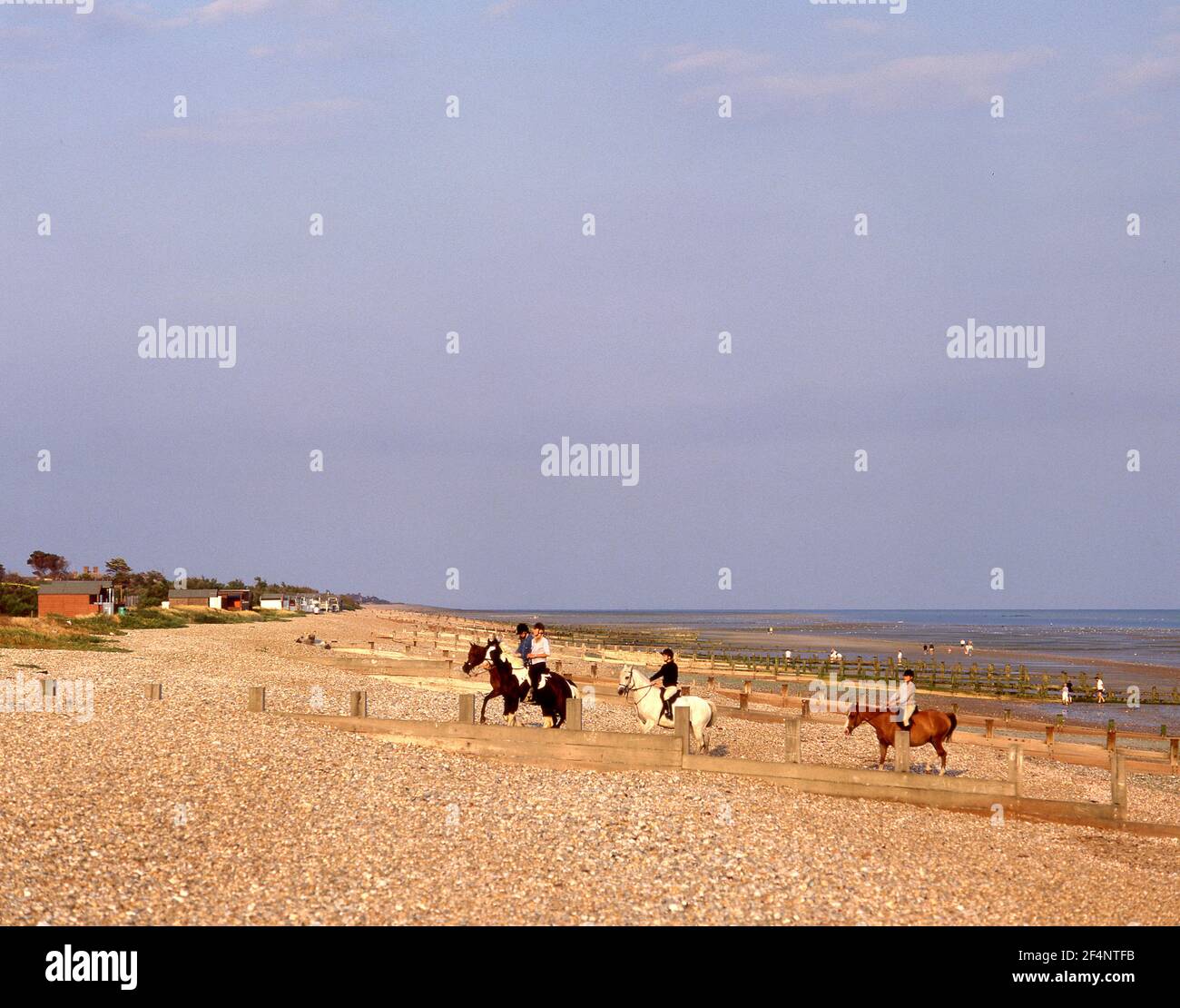 Seaside horse riding on rustington beach west sussex horses ride hi-res ...