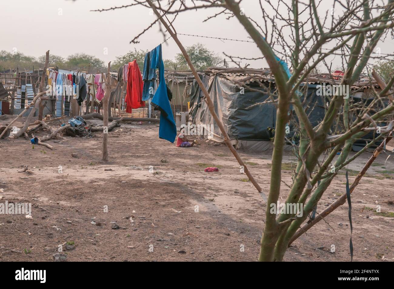 Chaco Province. Argentine. 15-01-2019. Precarious house of indigenous ...