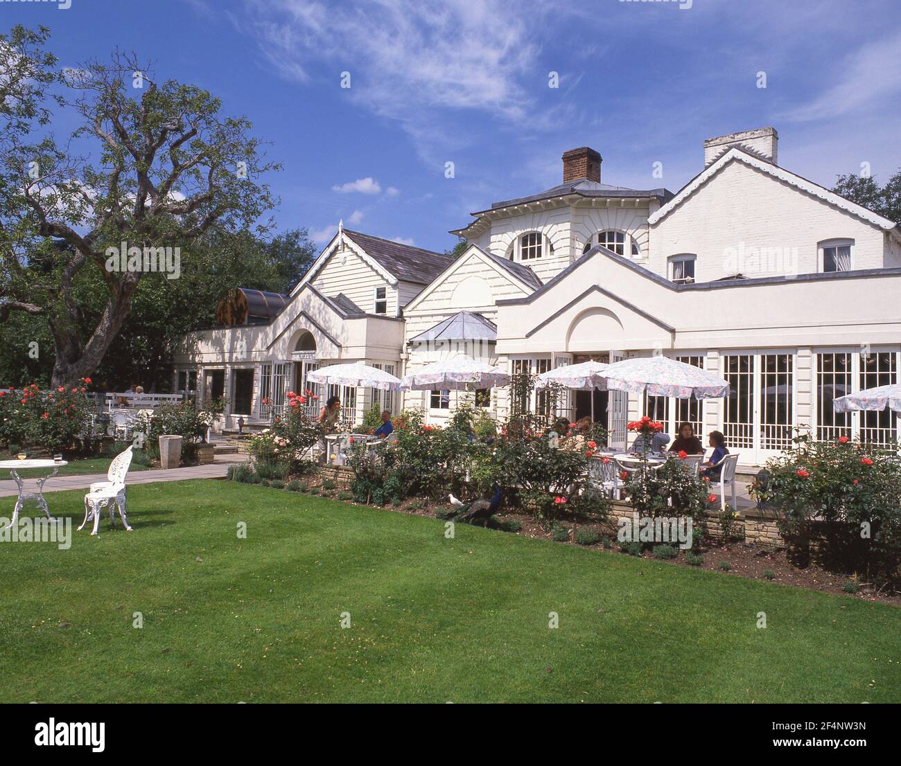 Monkey island estate hi-res stock photography and images - Alamy