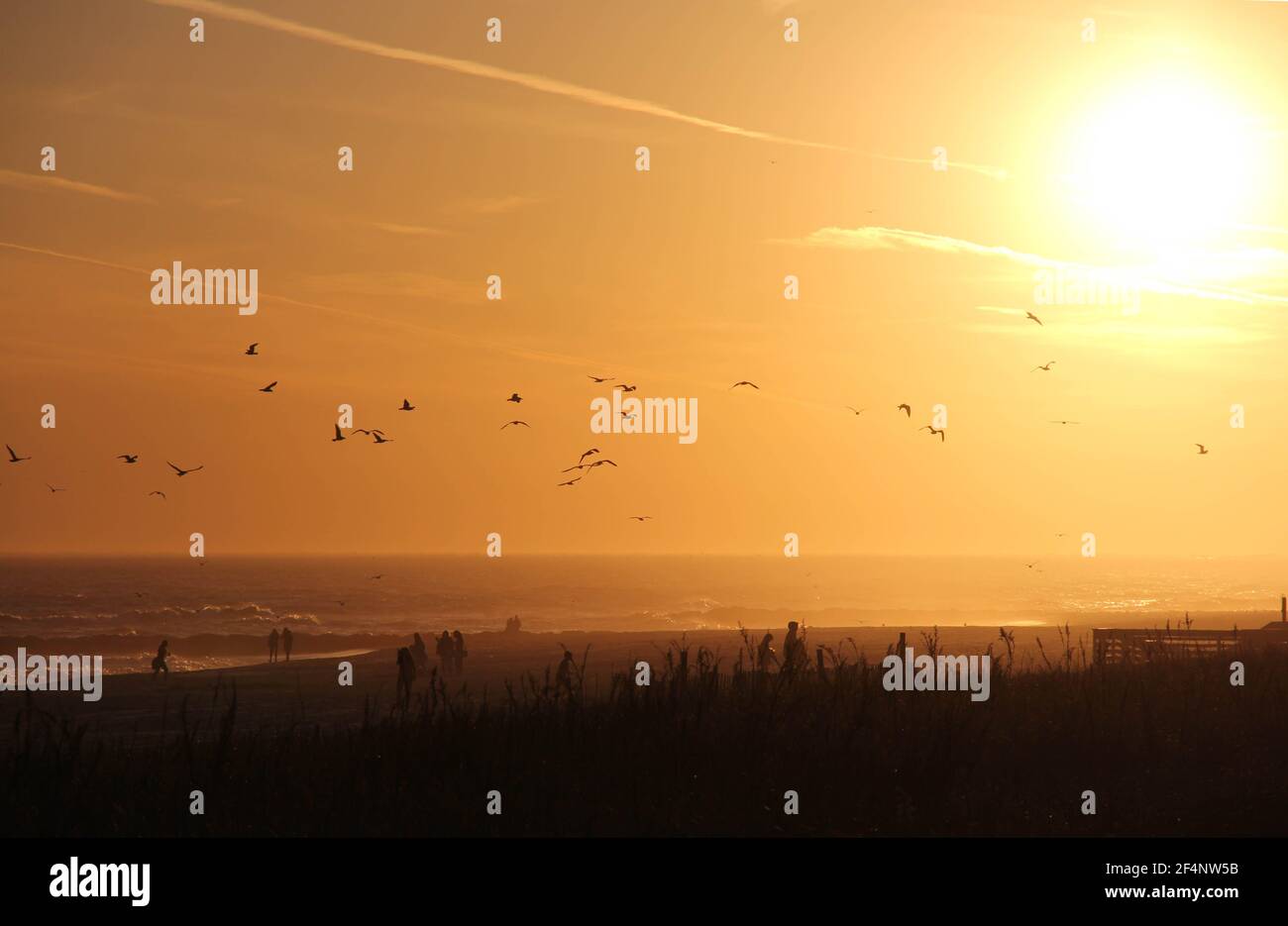 Sun setting on beach hi-res stock photography and images - Alamy