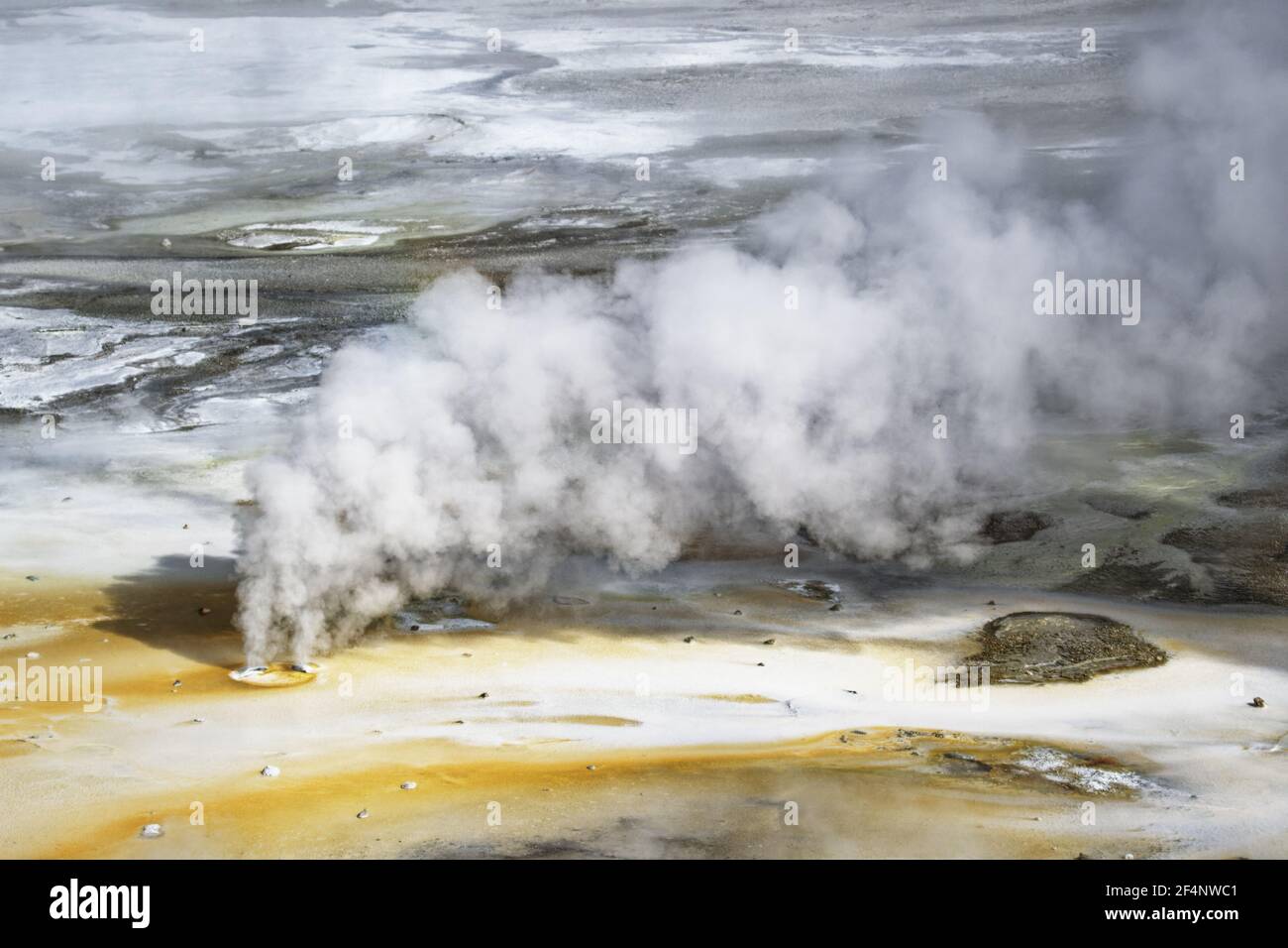 Double Steam Vent in Norris Geyser BasinYellowstone National Park ...