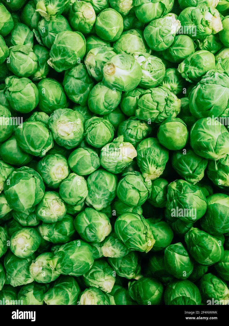Many buds of small fresh cabbage in counter in supermarket Stock Photo ...