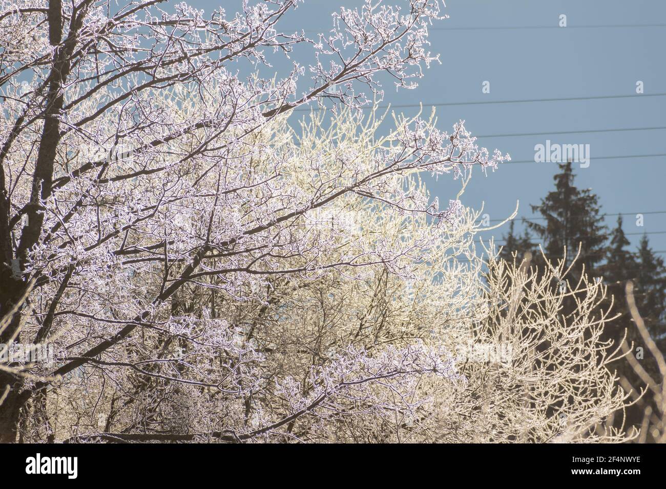 Winterzeit hi-res stock photography and images - Alamy