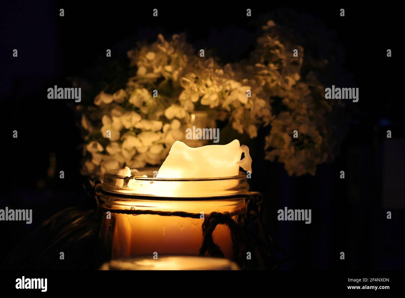 Flower in Candle Light Stock Photo - Alamy